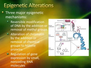 Epigenetics | PPTX