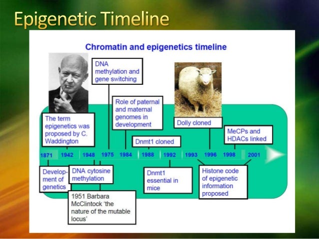 Epigenetics Fundamentals History And Examples What Is