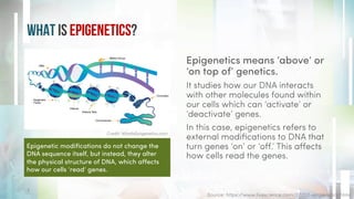 Epigenetics & Gene Control | PPT