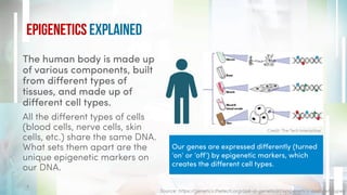 Epigenetics & Gene Control | PDF