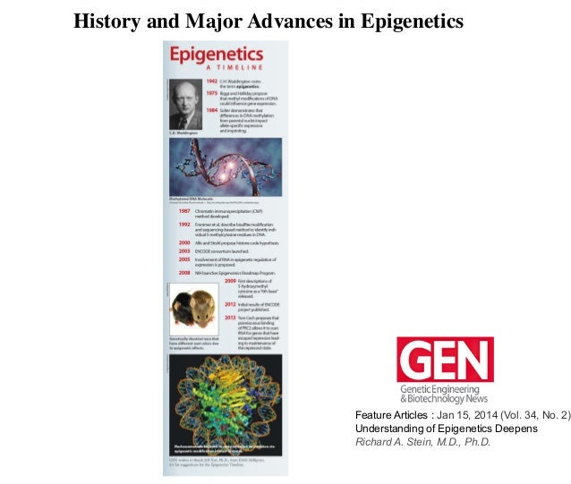 Epigenetics Fundamentals History And Examples What Is
