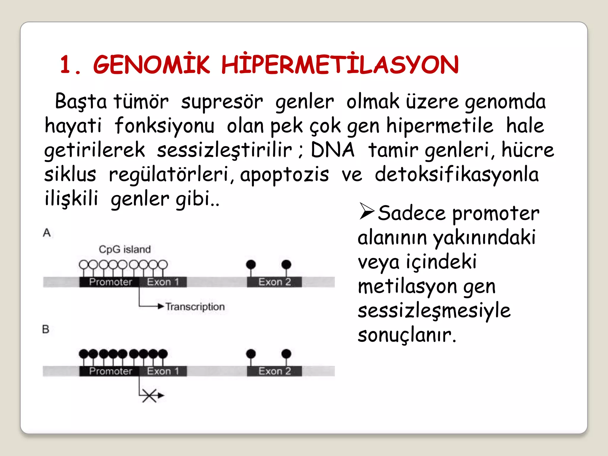 Epigenetik | PPTX