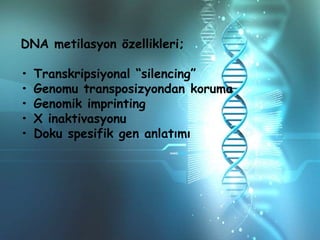 Epigenetik | PPTX