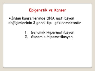Epigenetik | PPTX