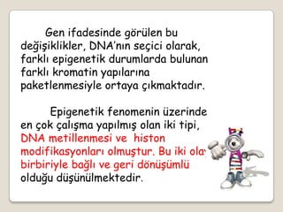Epigenetik | PPTX