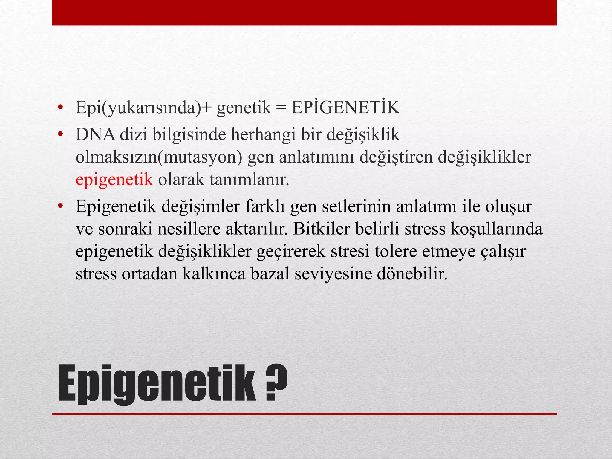 Epigenetik | PPTX