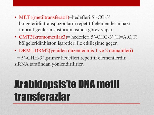 Epigenetik | PPTX