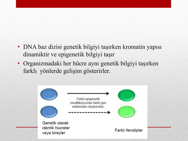 Epigenetik | PPTX
