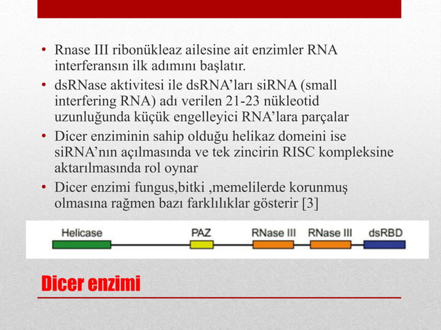 Epigenetik | PPT