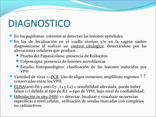 Epigen un antiviral para lesiones por VPH y Herpes tipo I y II | PPT