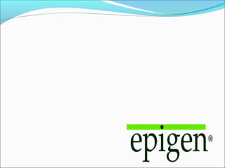 Epigen un antiviral para lesiones por VPH y Herpes tipo I y II | PPT