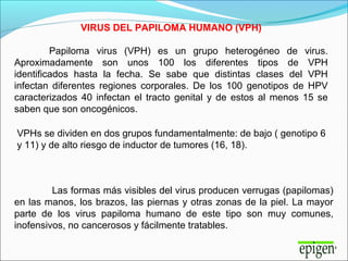Epigen un antiviral para lesiones por VPH y Herpes tipo I y II | PPT