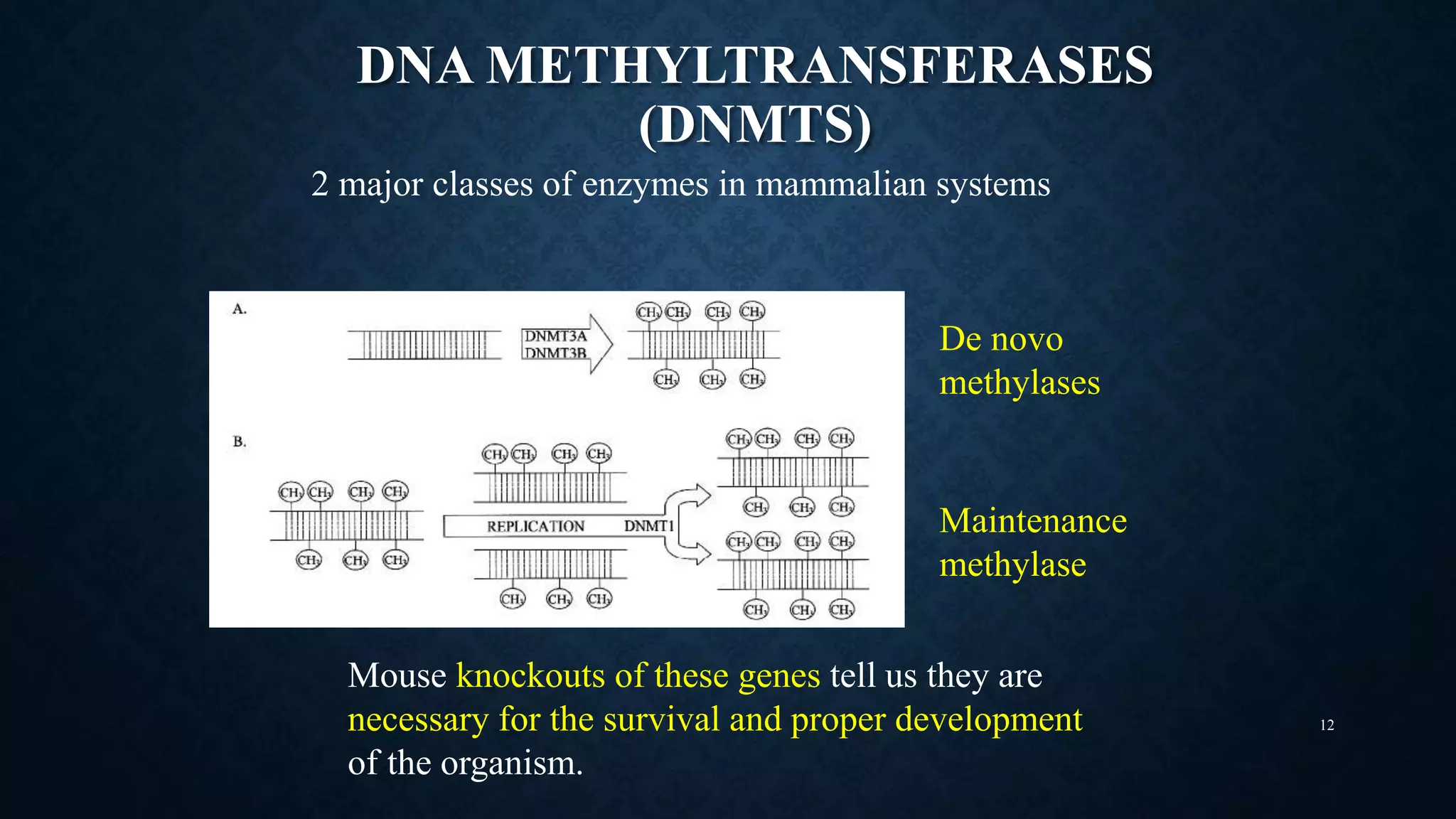 Epigenitcs - 30-08-22.ppt