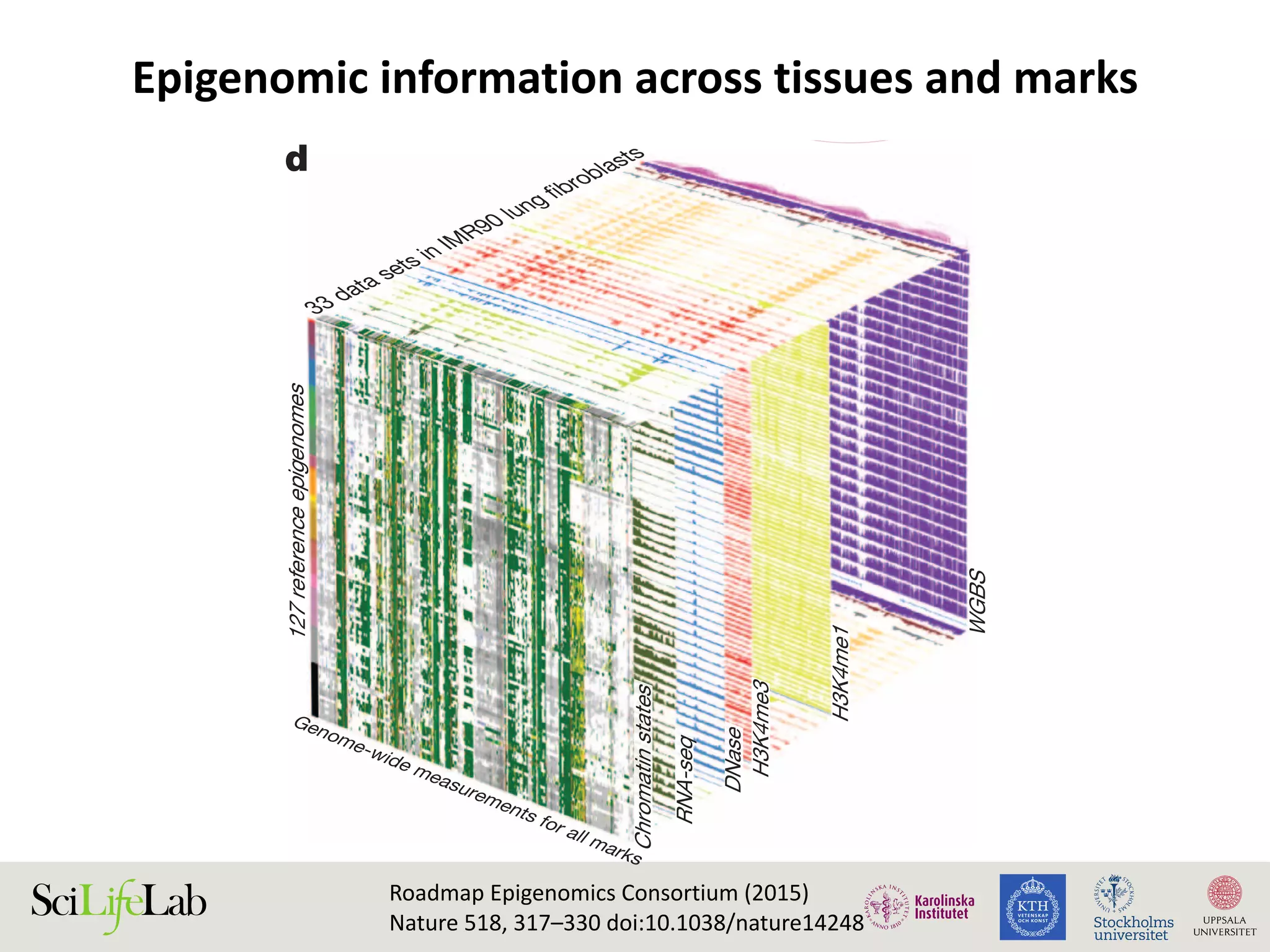 Epigenome roadmap ge-mvt2016-amb.slideshare | PDF