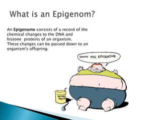 Epigenomics | PPTX