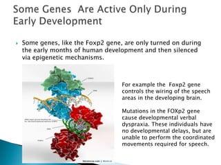 Epigenomics | PPTX