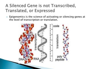 Epigenomics | PPTX