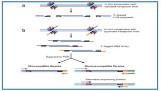 presentation on epigenomics , and technologies in epigenomics | PPTX