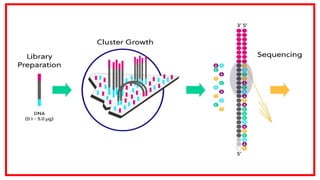 presentation on epigenomics , and technologies in epigenomics | PPTX ...