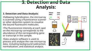 presentation on epigenomics , and technologies in epigenomics | PPTX ...