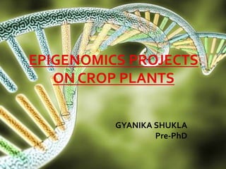 Epigenomics gyanika | PPTX