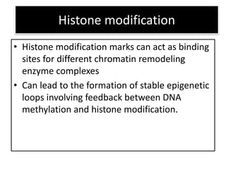 Epigentecs and heterosis | PPTX