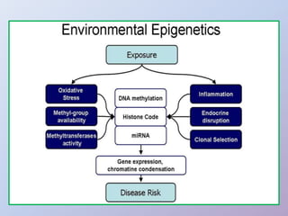 Epigentics | PPTX