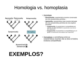 Introdução ao estudo da anatomia animal | PPT