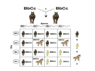 Epistasis and its different types | PPTX