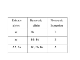 Epistasis and its different types | PPTX