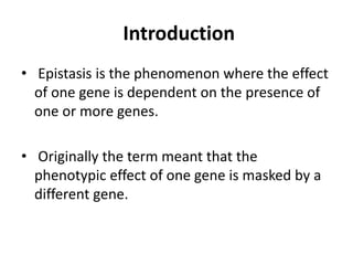 Epistasis Definition