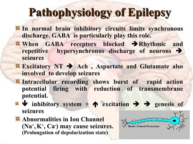 Epilepsy an overview | PPT | Brain and Nervous System Disorders ...