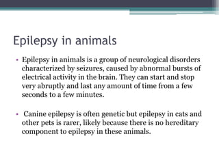 Epilepsy | PPTX | Brain and Nervous System Disorders | Diseases and ...