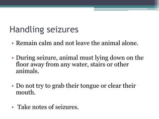 Epilepsy | PPTX | Brain and Nervous System Disorders | Diseases and ...