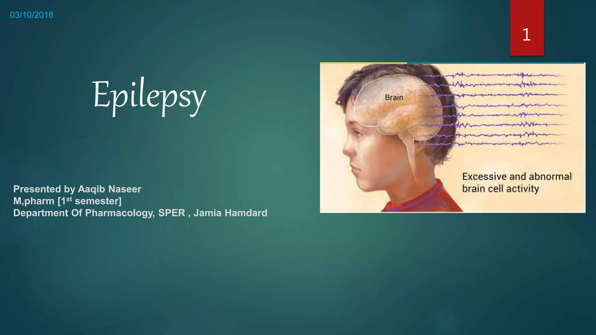 Epilepsy | PPT