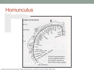 Overview of Epilepsy and types of seizures.ppt