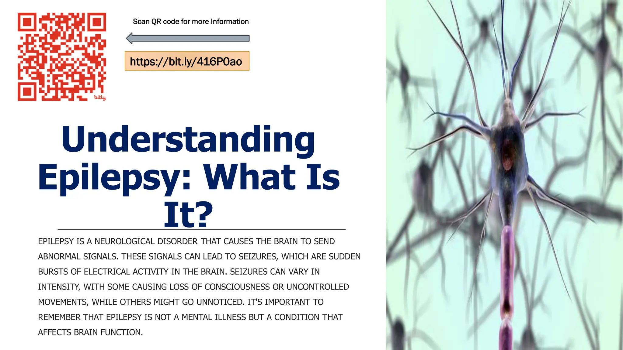 Understanding Epilepsy: Key Facts You Should Know | PDF
