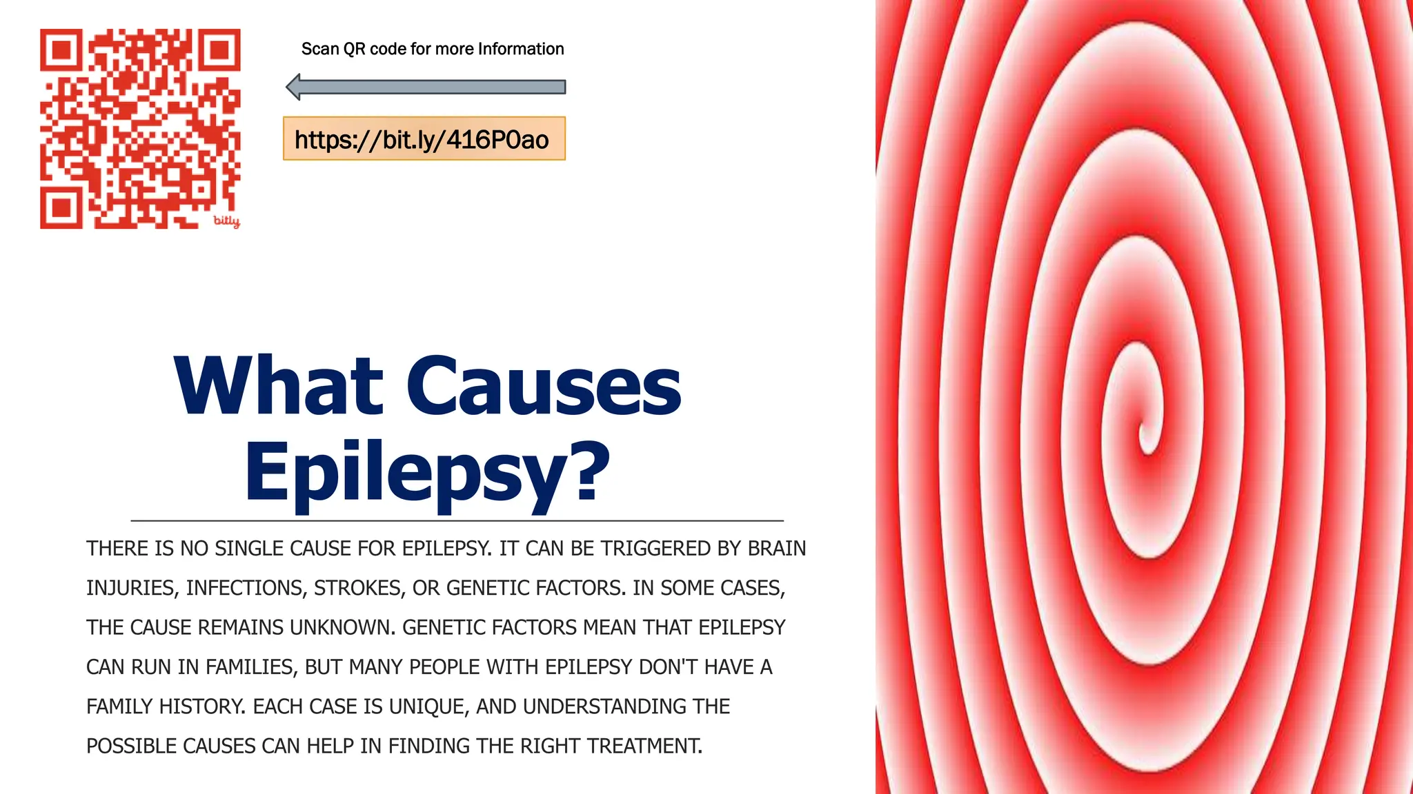 Understanding Epilepsy: Key Facts You Should Know | PDF