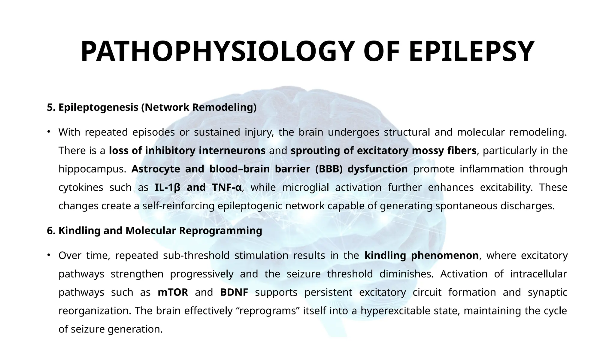 Epilepsy Explained: Pathophysiology, Diagnosis, and Management | PPTX