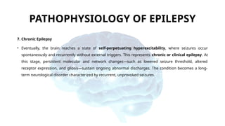 Epilepsy Explained: Pathophysiology, Diagnosis, and Management | PPTX