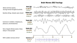 Seizure Disorders in Children | PPTX