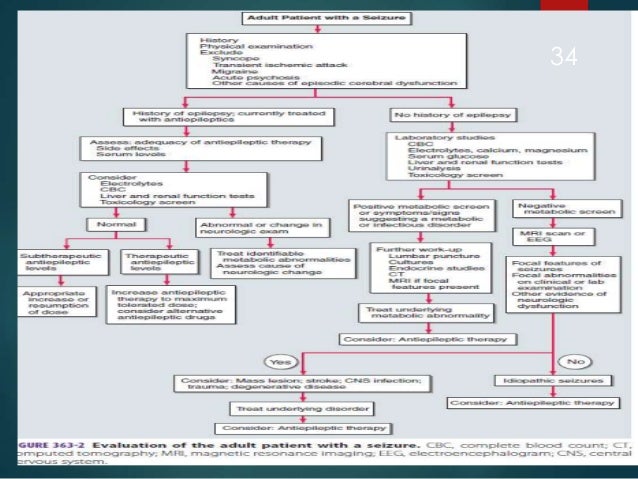 Epilepsy and seizure disorders