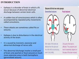 Presentation on Epilepsy and Its Animal Models | PPTX
