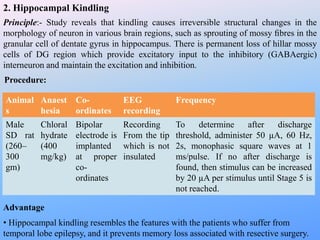 Presentation on Epilepsy and Its Animal Models | PPTX