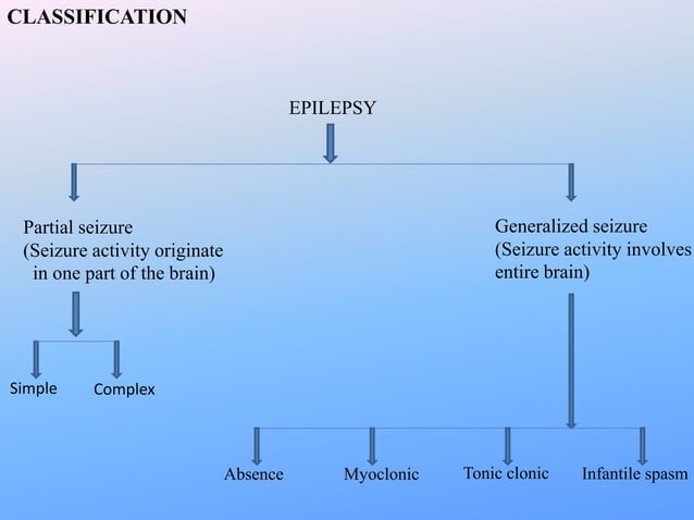 Presentation on Epilepsy and Its Animal Models | PPT