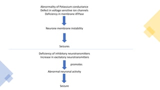 Epilepsy | PPTX | Brain and Nervous System Disorders | Diseases and ...