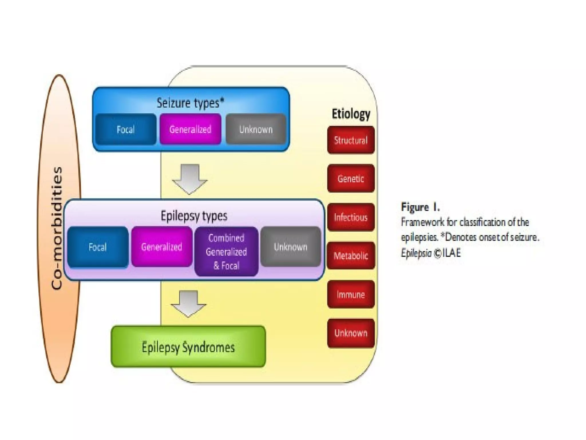 Epilepsy classification | PPT
