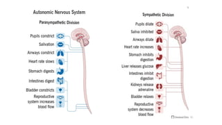 EPILEPSY & EEG types and management its uses | PPTX