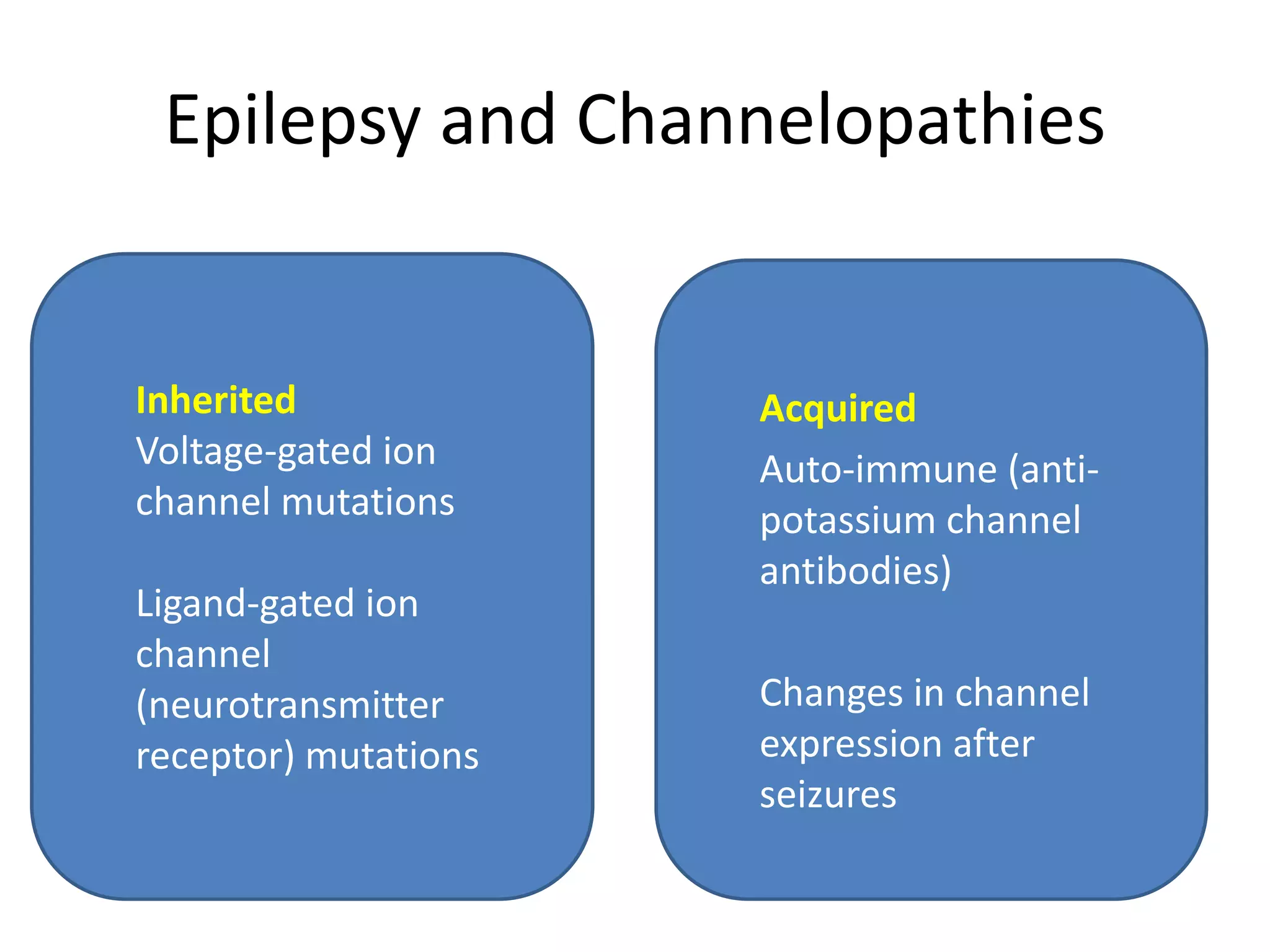 Epilepsy overview | PDF