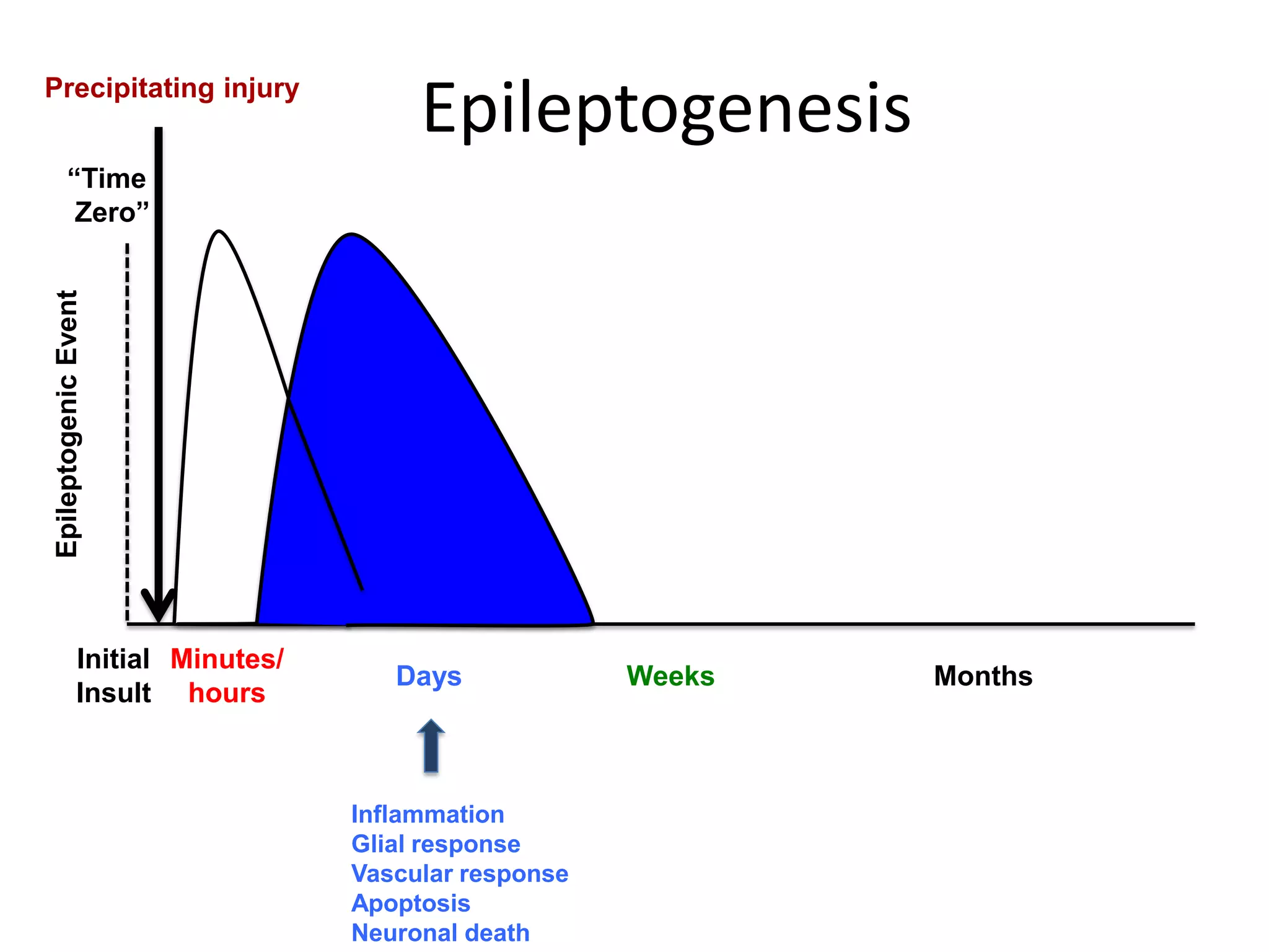 Epilepsy overview | PDF